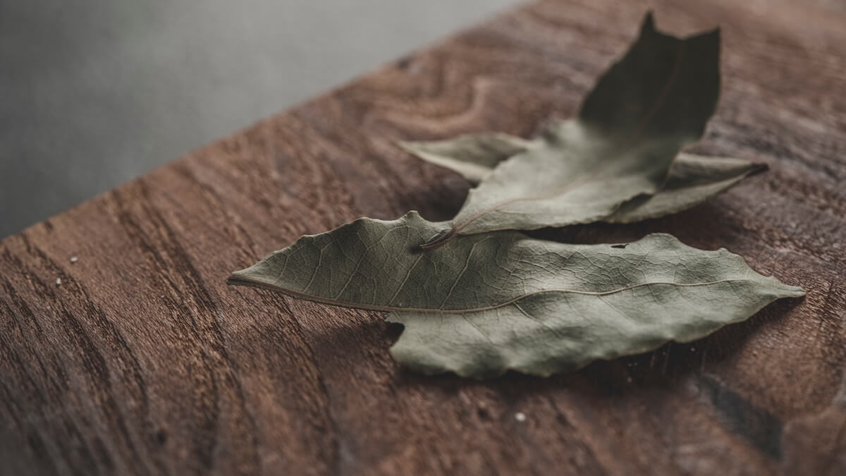 19 Essential Spices from Mexico and How to Use Them